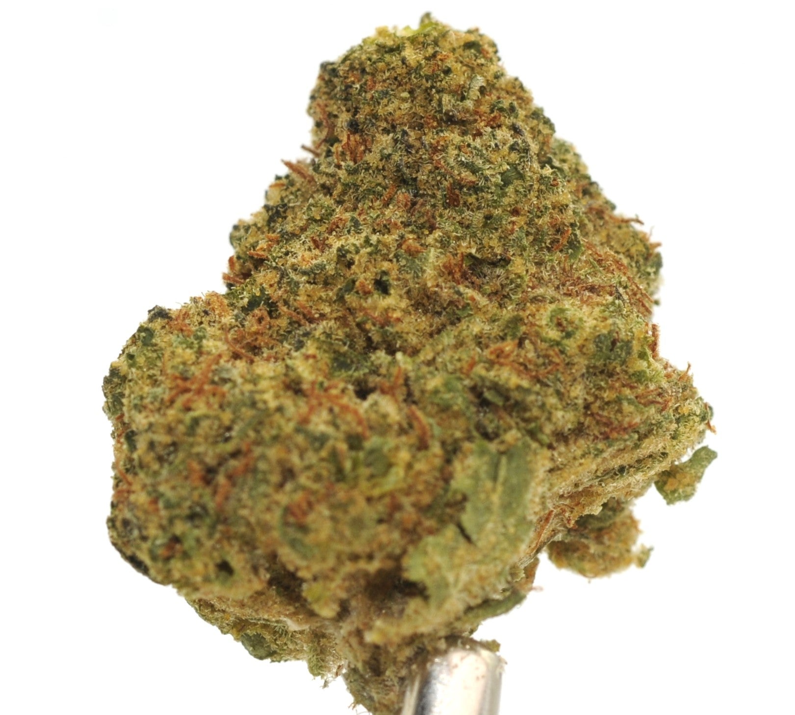 THCA Flower Moroccan Peaches Premium Greenhouse | Earth’s Medicinals