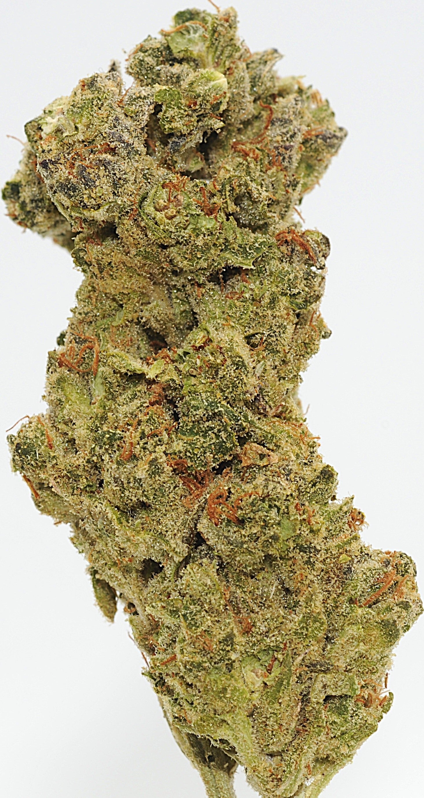 THCA Flower Sundae Driver Premium Indoor | Earth’s Medicinals